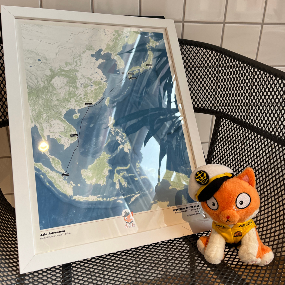 Shop – The Cruise Maps