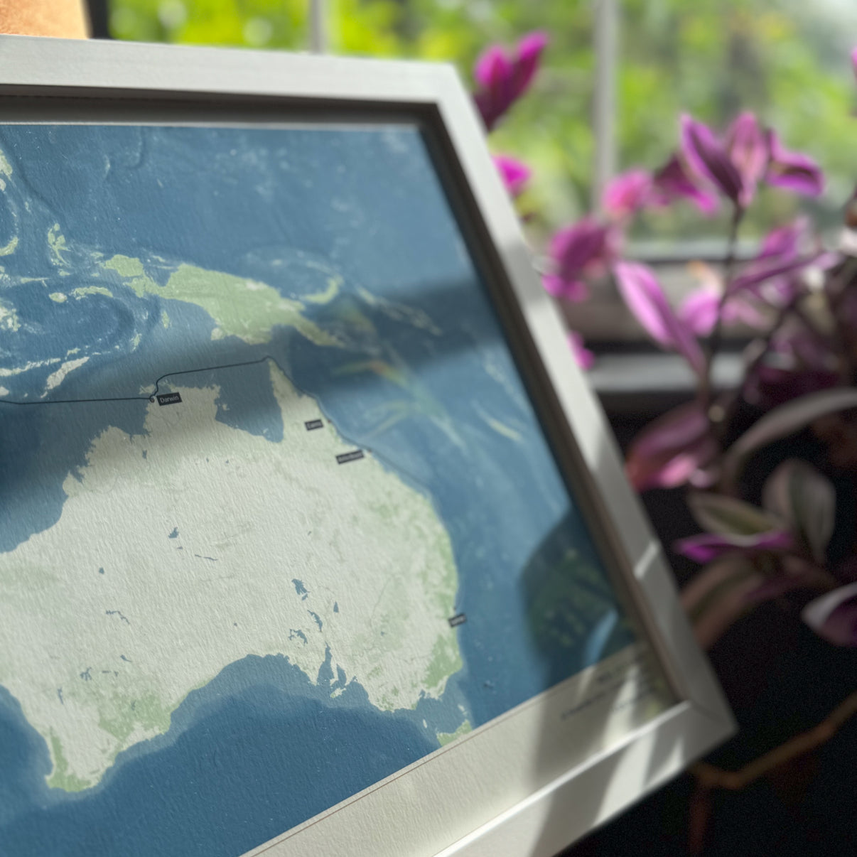 Custom Cruise Map – The Cruise Maps